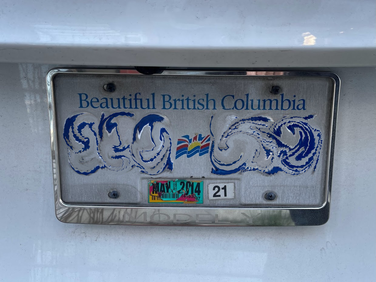 Cover My Sticker license plate sticker decal cover beautify beautiful ...