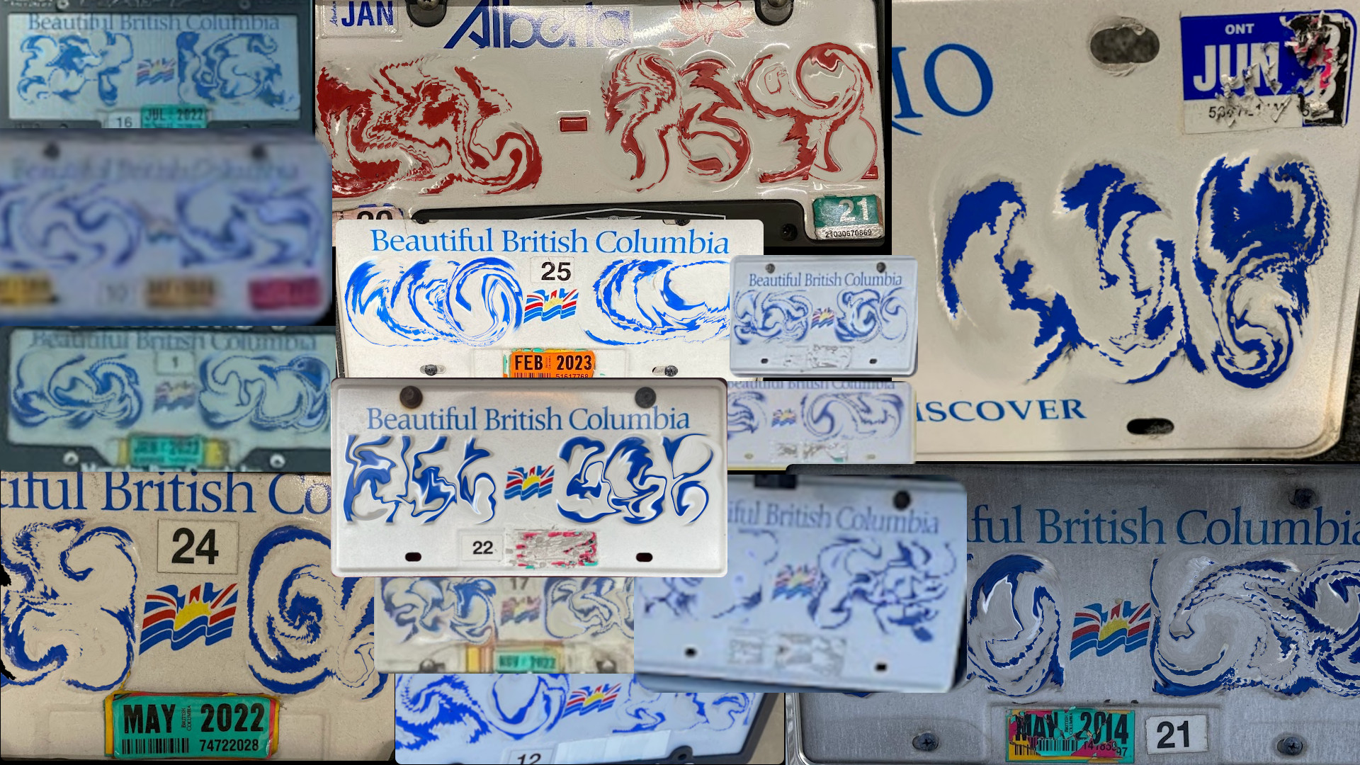 Cover My Sticker license plate sticker decal cover beautify beautiful ...